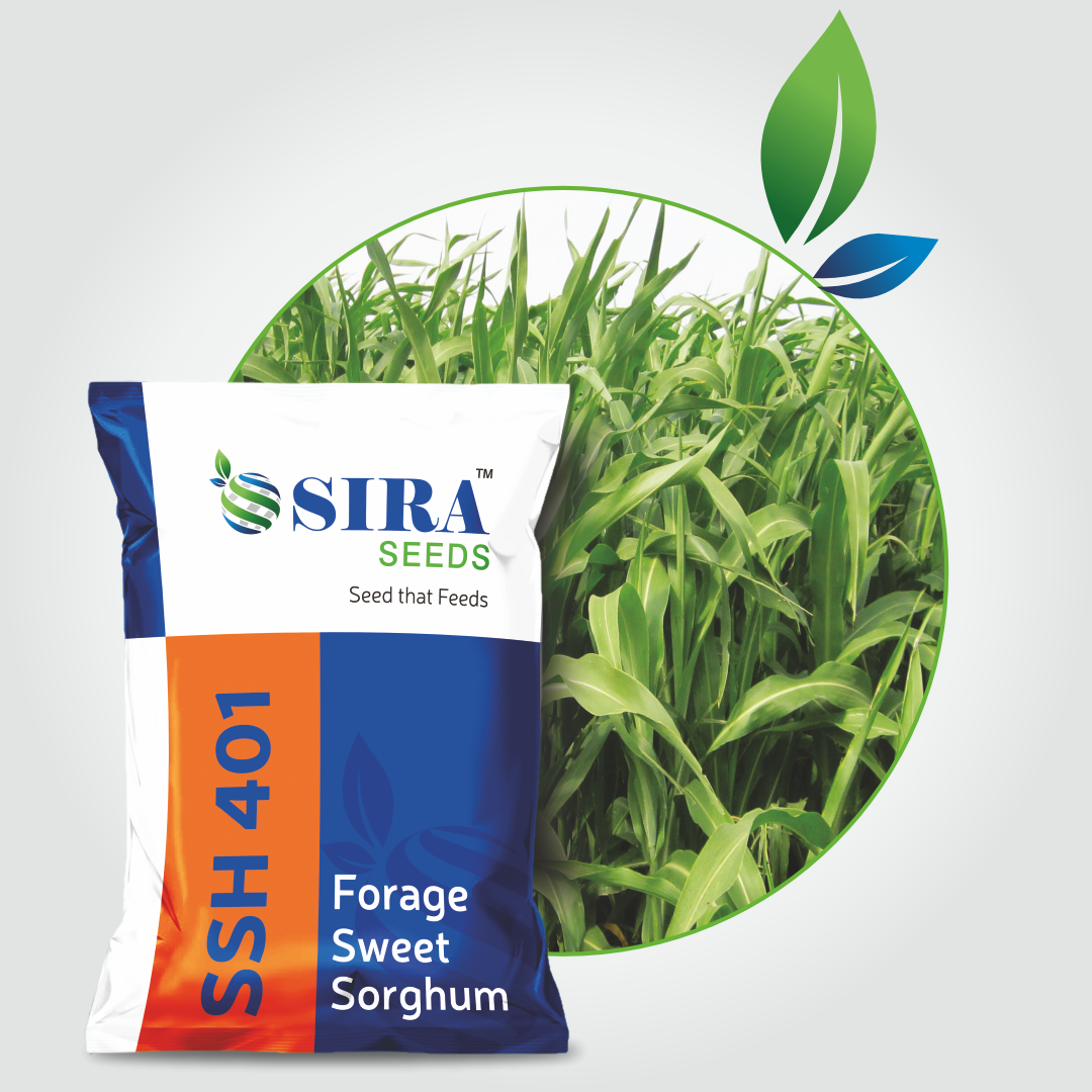 Siraseeds